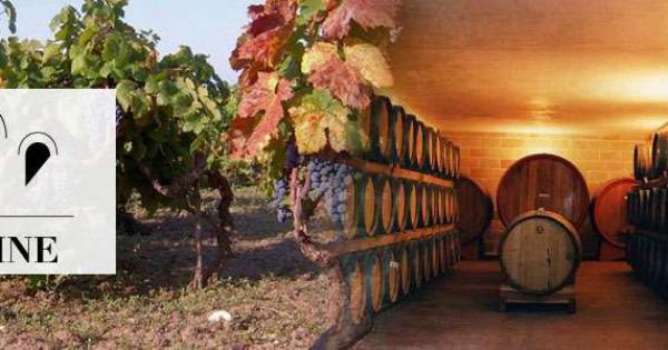 Agricola Felline: Tradizione e innovazione dalla Puglia.