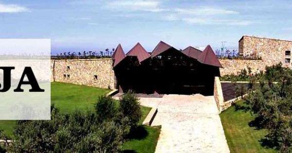 Gaja | Vini della Cantina più famosa d'Italia