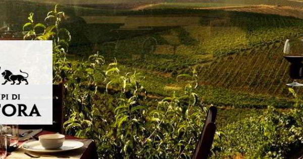 Dei Principi di Spadafora | Azienda Agricola e Vinicola