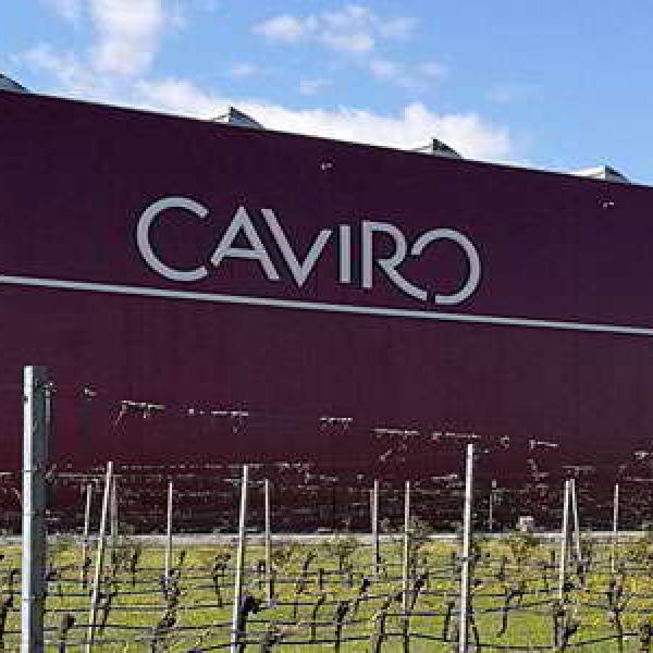 Cantine Caviro | Il gruppo vinicolo più grande d'Italia