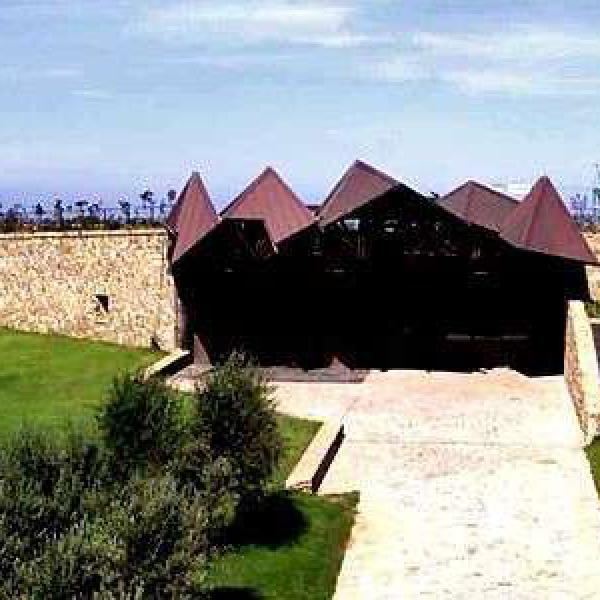 Gaja | Vini della Cantina più famosa d'Italia